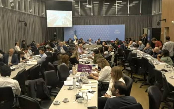 Más sectores de la sociedad se sumaron al plenario en diputados ...